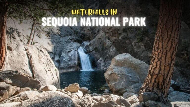 First-Time Visit? Sequoia National Park Travel Guide for You