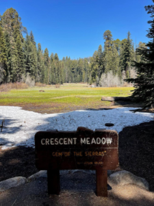 Sequoia National Park's Tunnel Log: Tips for Your Visit