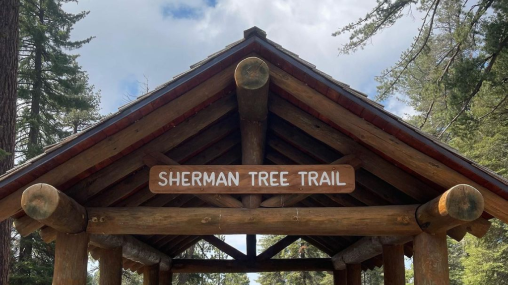 How to Visit the General Sherman Tree: Complete Guide | VSNP