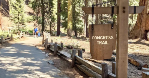 9 Best Places to Hike in Sequoia National Park for Every One