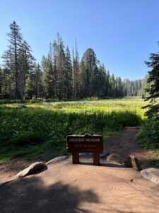 How to Spend One Day in Sequoia National Park | VSNP