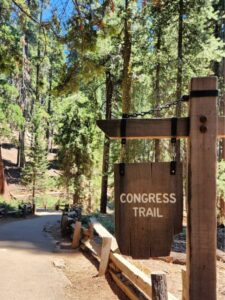 The Congress Trail: Full Guide from Start to Sequoia’s End