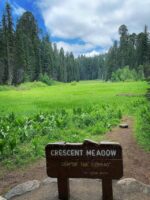 Crescent Meadow Loop: A Complete Guide for First-Time Visitors