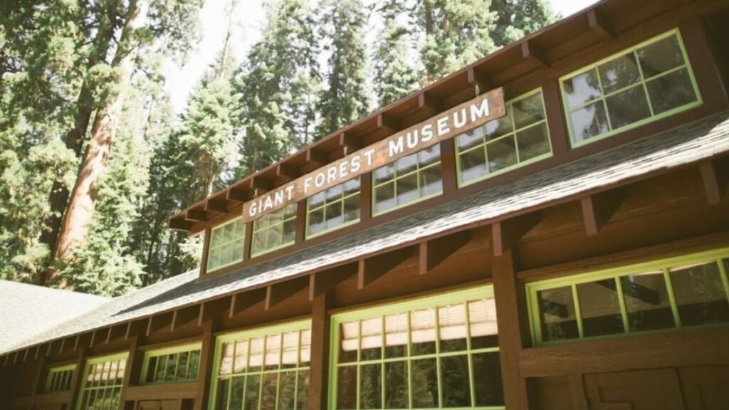 Visiting Sequoia? Don’t Miss Giant Forest Museum First!
