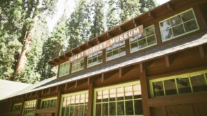 Visiting Sequoia? Don’t Miss Giant Forest Museum First!